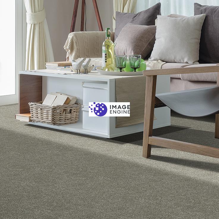 Alexanian | Shop Quality Area Rugs, Carpet, Hardwood, Vinyl